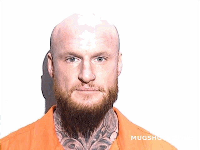 MCCOY CHAD JAMES 04/17/2025 - Lucas County Mugshots Zone