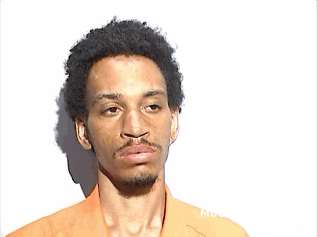 BRANK TAY FAIZON 04/28/2025 - Lucas County Mugshots Zone