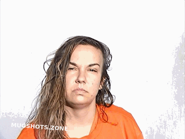 SILER JESSICA LYNN 04/30/2025 - Lucas County Mugshots Zone