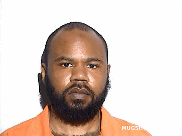 GREEN RAYMOND RIEDEL 05/01/2025 - Lucas County Mugshots Zone