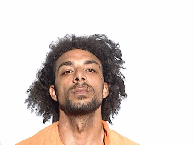 RUSHING ANTHONY LAVELLE JR 05/01/2025 - Lucas County Mugshots Zone