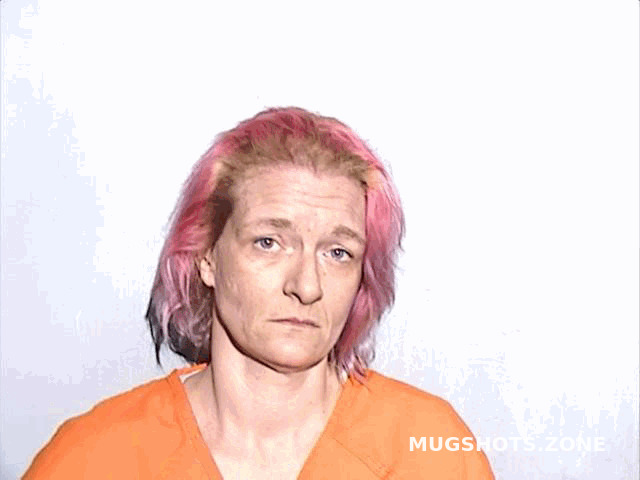 HUMMER STEPHANIE ANN 05/01/2025 - Lucas County Mugshots Zone