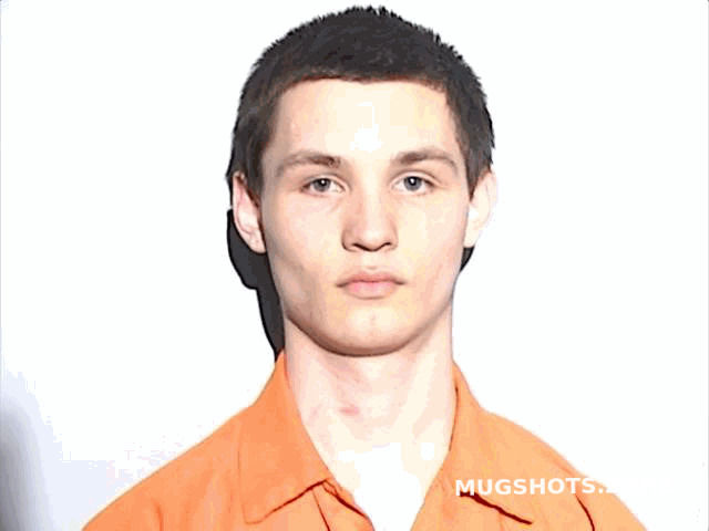 JOHNSON JAKE MICHAEL 05/02/2025 - Lucas County Mugshots Zone