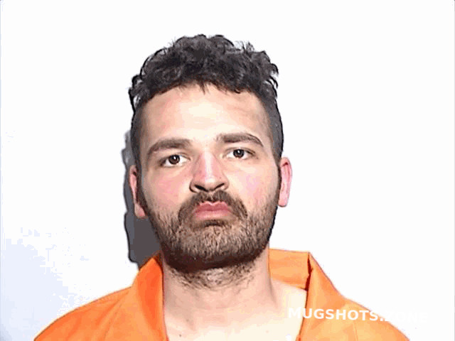 DILLINGER LOGAN JOHN 05/11/2025 - Lucas County Mugshots Zone