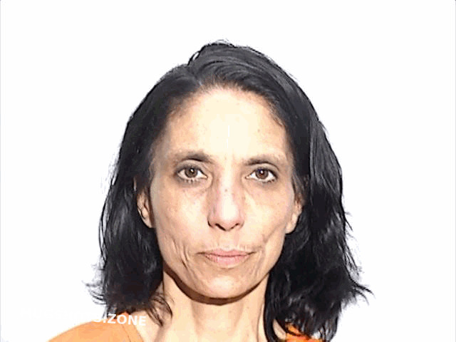 SANCRANT HEATHER LYNN 05/14/2025 - Lucas County Mugshots Zone