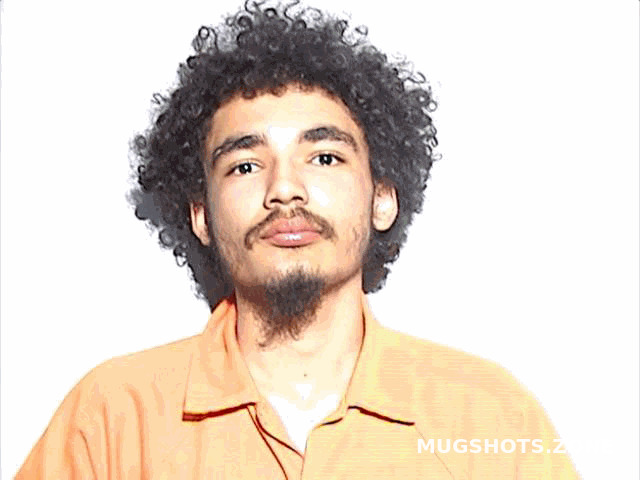 RUIZ ANTJUAN XAVIER 05/18/2025 - Lucas County Mugshots Zone