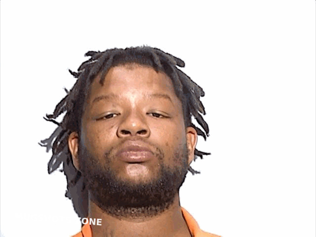 NELSON MICHAEL ANDREW 05/29/2025 - Lucas County Mugshots Zone