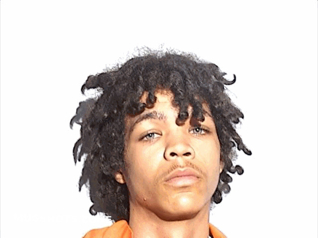 VICE ISAIAH 06/03/2025 - Lucas County Mugshots Zone