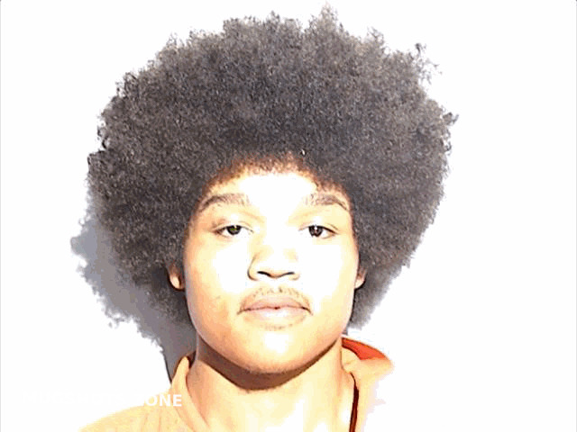 HARRIS JADEN 06/07/2025 - Lucas County Mugshots Zone