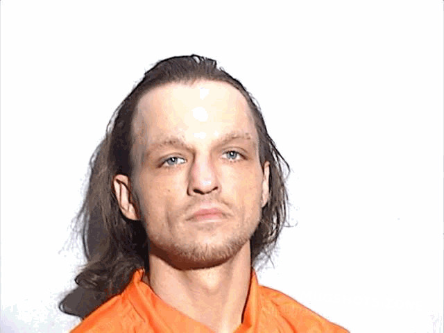 TODAK STEVEN MICHAEL 06/09/2025 - Lucas County Mugshots Zone