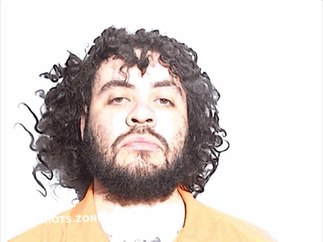 PALLITTA DAMION LAMONT JR 06/09/2025 - Lucas County Mugshots Zone