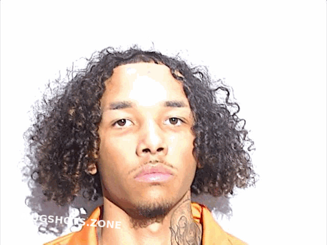 WILLIAMSON DAMIEN 06/11/2025 - Lucas County Mugshots Zone