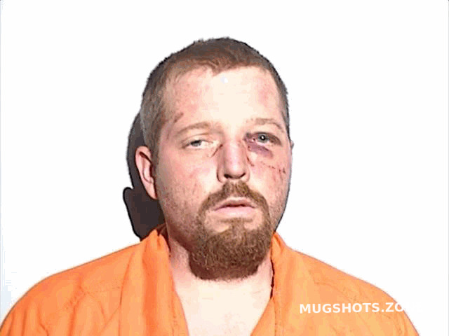 MEIDT CASEY JAMES 06/14/2025 - Lucas County Mugshots Zone