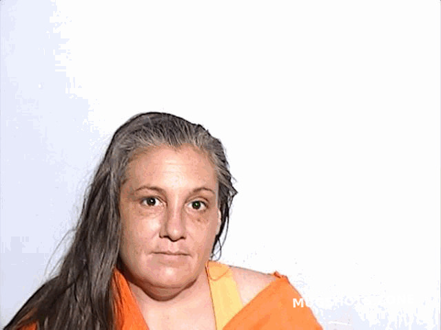 LEWANDOWSKI SUZANNE MARIE 06/15/2025 - Lucas County Mugshots Zone