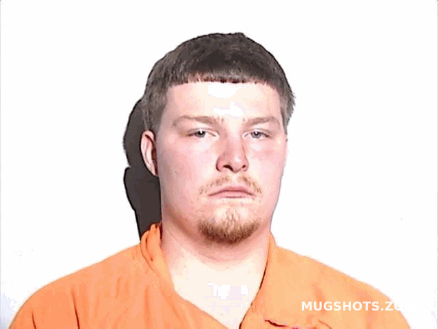 WERTS ROBERT JOSEPH 06/15/2025 - Lucas County Mugshots Zone
