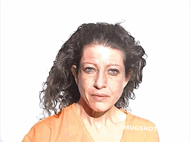BAYER CONSTANCE MARIE 06/16/2025 - Lucas County Mugshots Zone