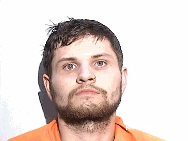 CUSTER ELIJAH MICHAEL-RAY I 06/17/2025 - Lucas County Mugshots Zone