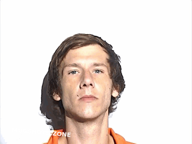 FEASEL MIKE VINCENT JR 06/27/2025 - Lucas County Mugshots Zone