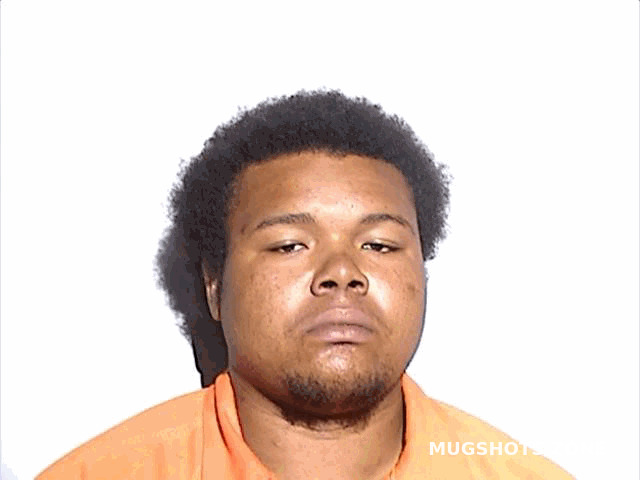 WOODWARD MARVIN DEWEY 06/28/2025 - Lucas County Mugshots Zone