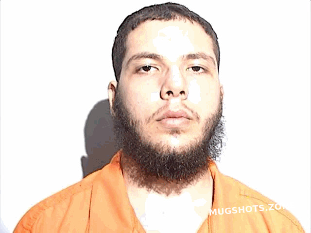 MARTINSON BRAYDEN ALEXANDER-KEEGAN 07/06/2025 - Lucas County Mugshots Zone