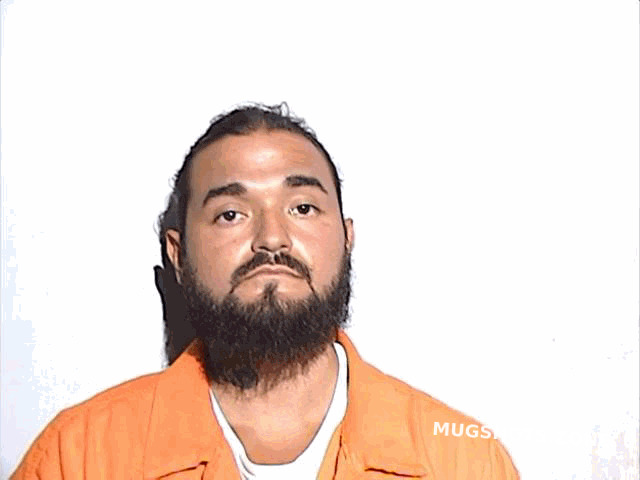 ROGERS ROBBIE DOUGLAS JR 07/17/2025 - Lucas County Mugshots Zone