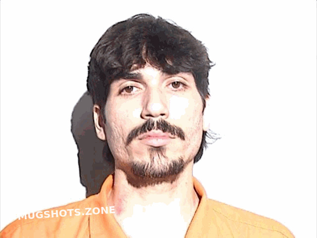 BUTLER ALEXANDER NICHOLAS 07/18/2025 - Lucas County Mugshots Zone