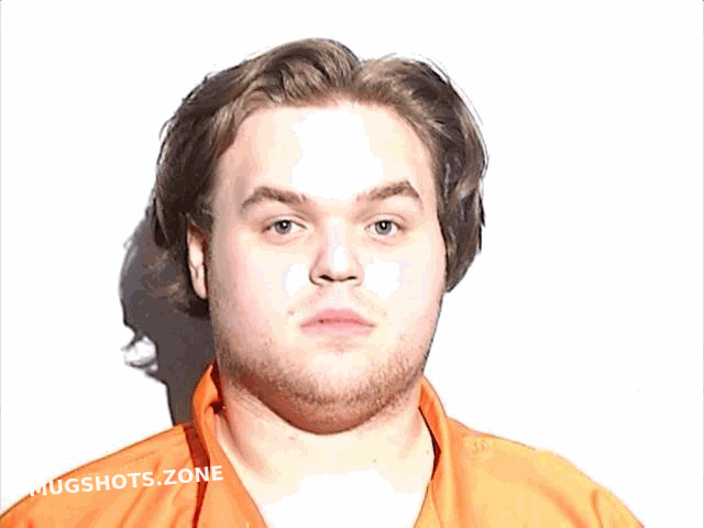 TIPPING SETH MICHAEL 07/22/2025 - Lucas County Mugshots Zone