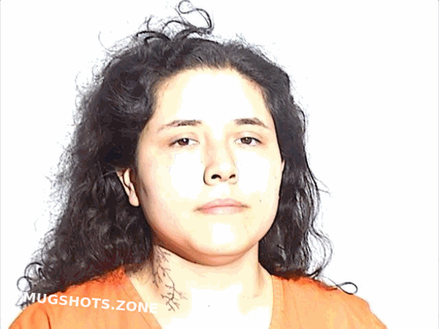 ROMO ESTRELLA 07/27/2025 - Lucas County Mugshots Zone