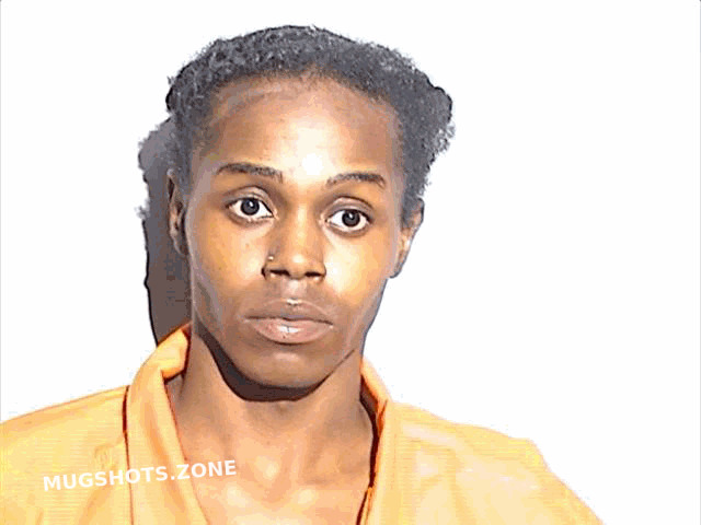 PRESSLEY MARCUS LATWAUN JR 07/28/2025 - Lucas County Mugshots Zone