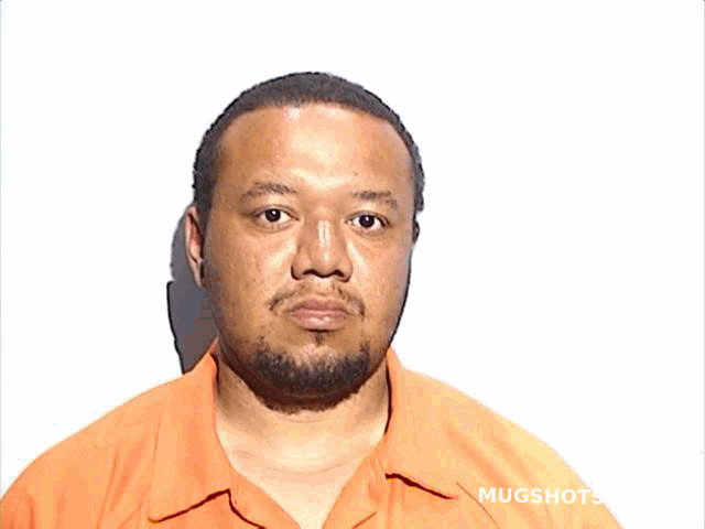 WHITE JAMES JERALD 08/02/2025 - Lucas County Mugshots Zone