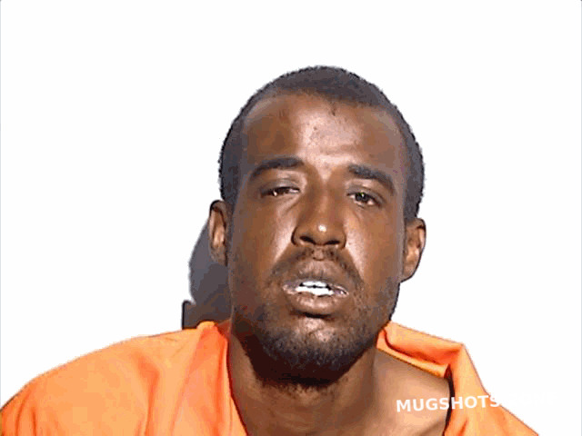LAPORTE ANNTAY DEANGELO 08/06/2025 - Lucas County Mugshots Zone