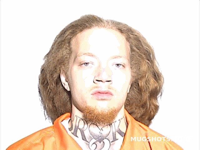 COOK AARON DAVID 08/07/2025 - Lucas County Mugshots Zone