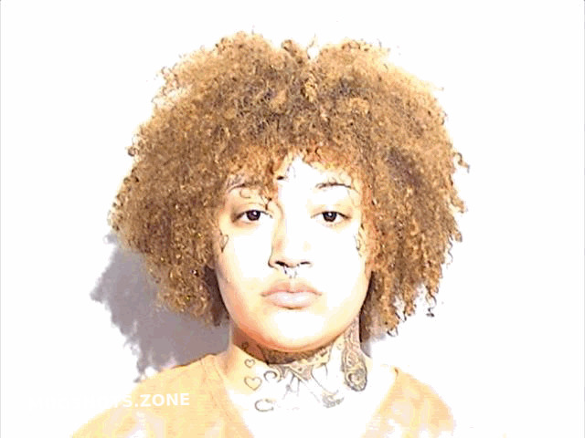 HIGHTOWER KAYLA 08/11/2025 - Lucas County Mugshots Zone