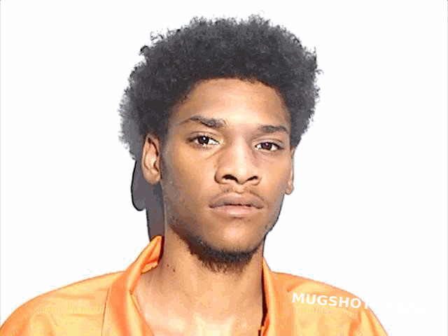 ROBINSON STEPHON 08/12/2025 - Lucas County Mugshots Zone