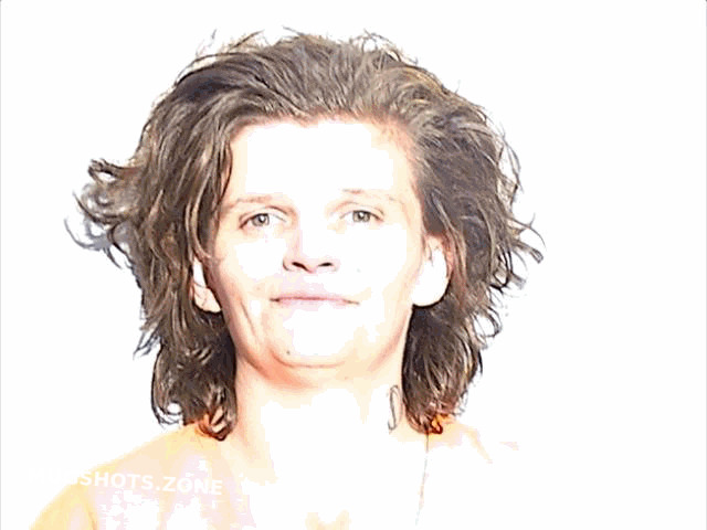 WESTFALL ASHLEY CHRISTINE 08/18/2025 - Lucas County Mugshots Zone