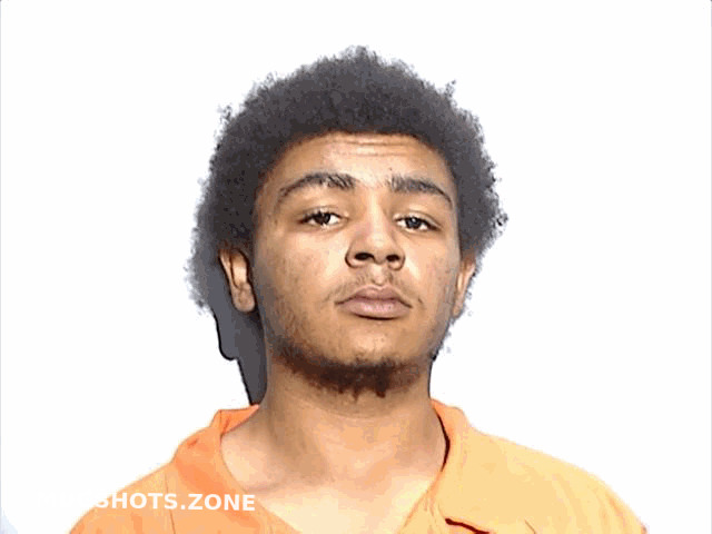 GODA JAYCE LEE 08/19/2025 - Lucas County Mugshots Zone