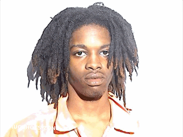 TICEY JAMONNI DURAN-LEE 08/19/2025 - Lucas County Mugshots Zone