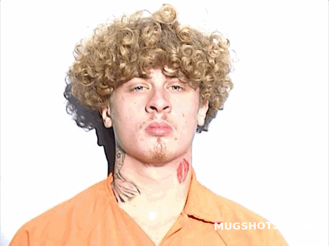 MILLER TROY MICHAEL 08/25/2025 - Lucas County Mugshots Zone