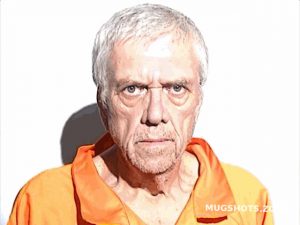 STRAIN JAMES P JR 09/25/2025 - Lucas County Mugshots Zone