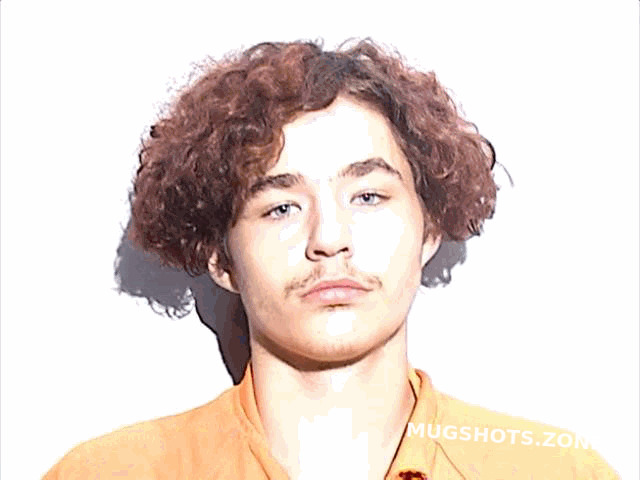 HALL CALEB STEVEN 09/26/2025 - Lucas County Mugshots Zone