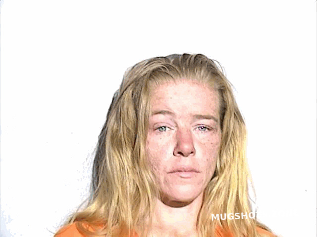 MULLINS DAWN ELOISE 10/05/2025 - Lucas County Mugshots Zone