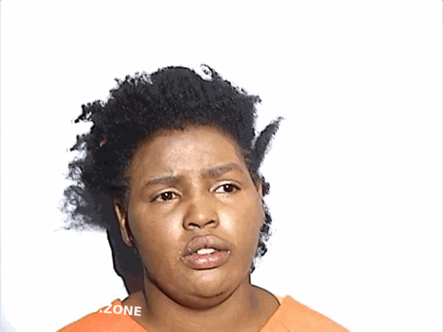 JENKINS ZARIA TARELLE 10/08/2025 - Lucas County Mugshots Zone