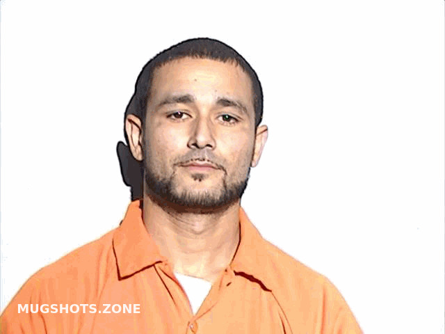 DEJESUS DIMAS JR 10/15/2025 - Lucas County Mugshots Zone