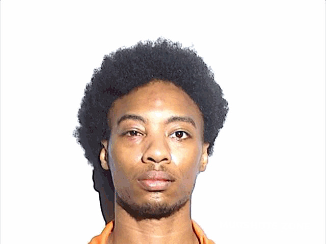 TELLIS LEONARD BERNARD JR 10/19/2025 - Lucas County Mugshots Zone