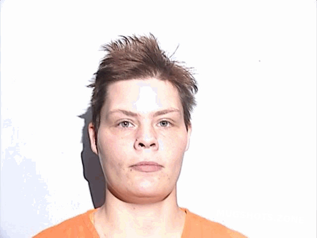 HENDRICKS NICOLE ANNE 10/25/2025 - Lucas County Mugshots Zone