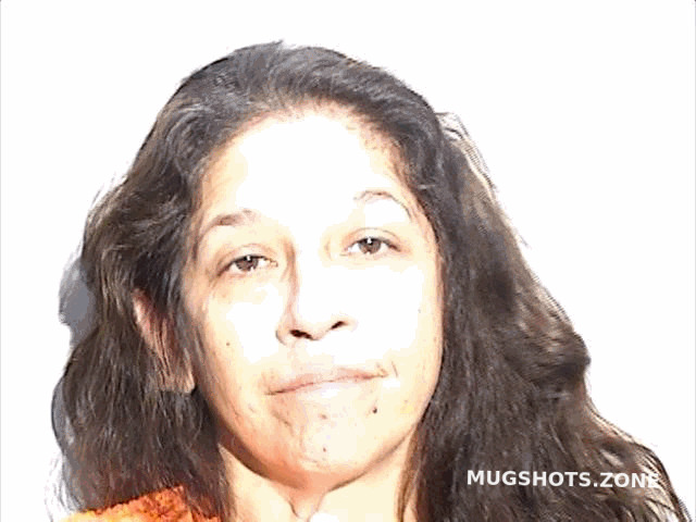 KRUEGER REBECCA LYNN 10/26/2025 - Lucas County Mugshots Zone