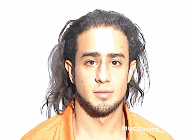 ESCUDERO-NIEVES FERNANDO 11/01/2025 - Lucas County Mugshots Zone