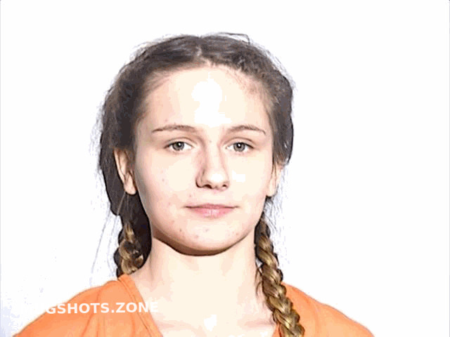 RYBAK LILYAN RUBY-STAR 11/03/2025 - Lucas County Mugshots Zone