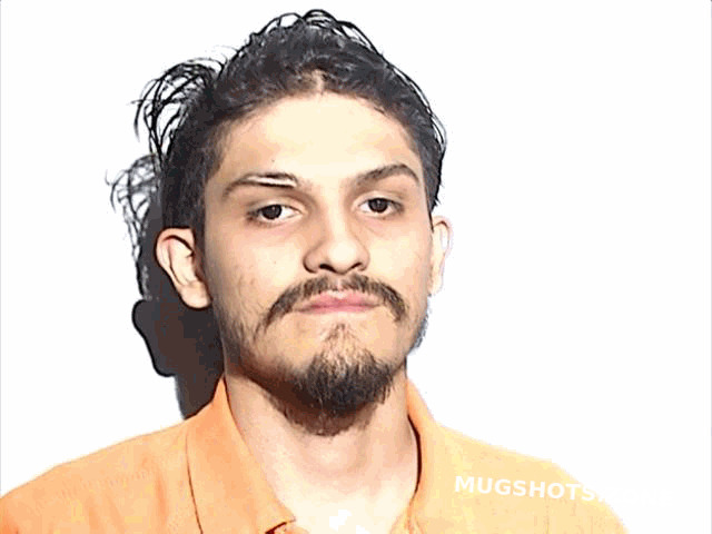 REYES ARTURO 11/13/2025 - Lucas County Mugshots Zone