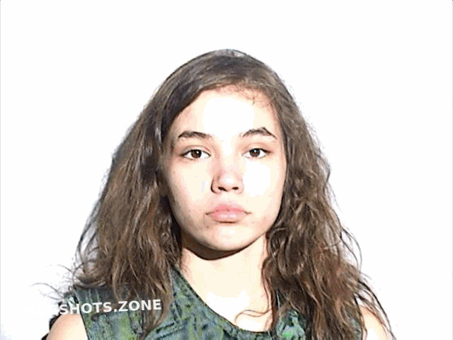 GOBBELL SAMYAH 11/20/2025 - Lucas County Mugshots Zone